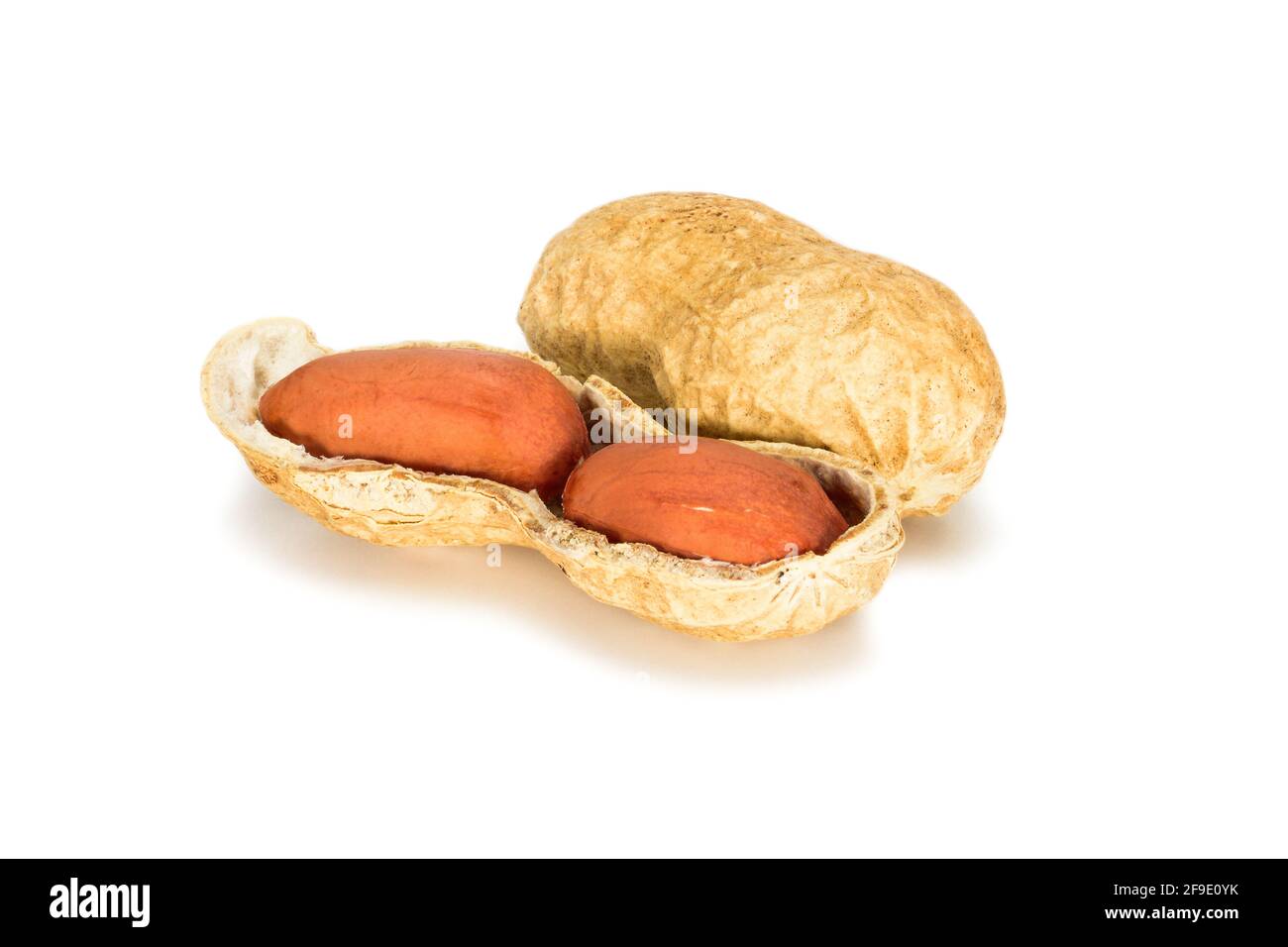 Peanuts. Real whole nut with kernels in shell isolated on white ...