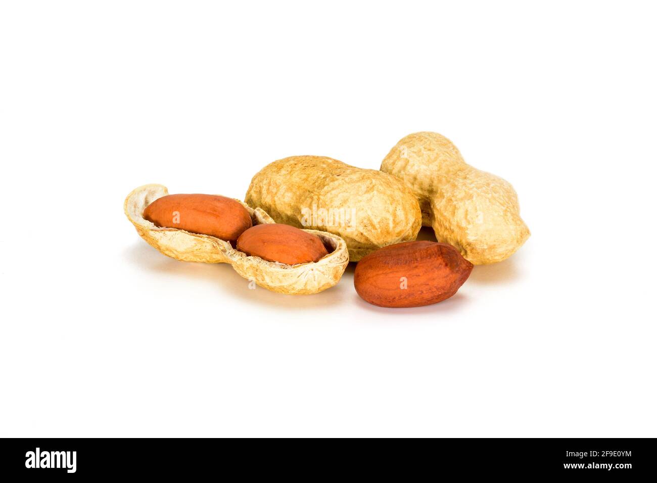 Peanuts. Two real whole nut with kernels in shell isolated on white ...