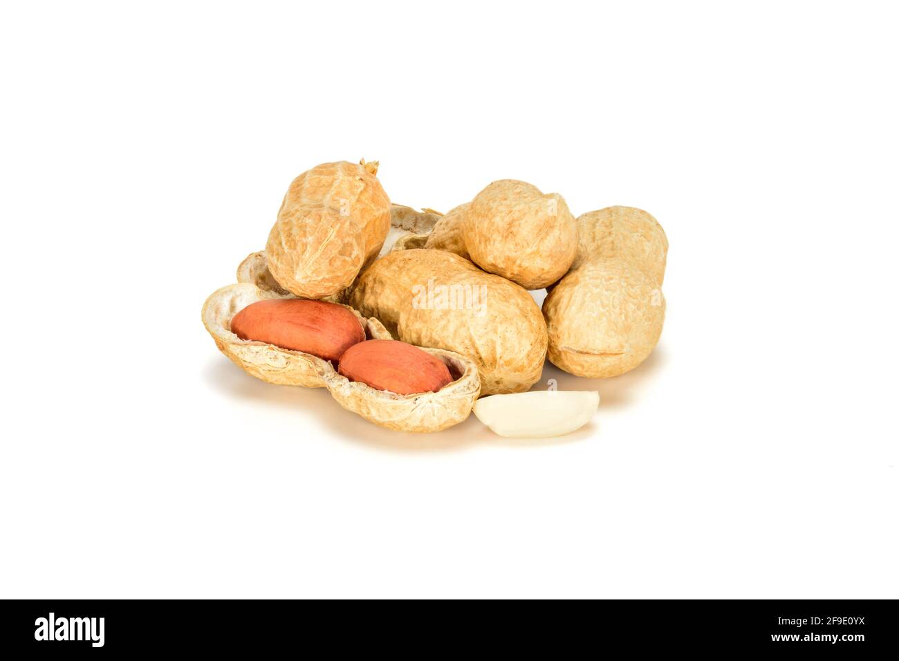 Peanuts. Four real whole nut with two kernels in shell isolated on ...