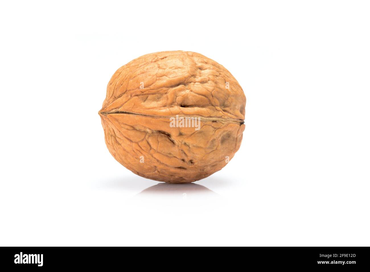 Walnut close hi-res stock photography and images - Alamy