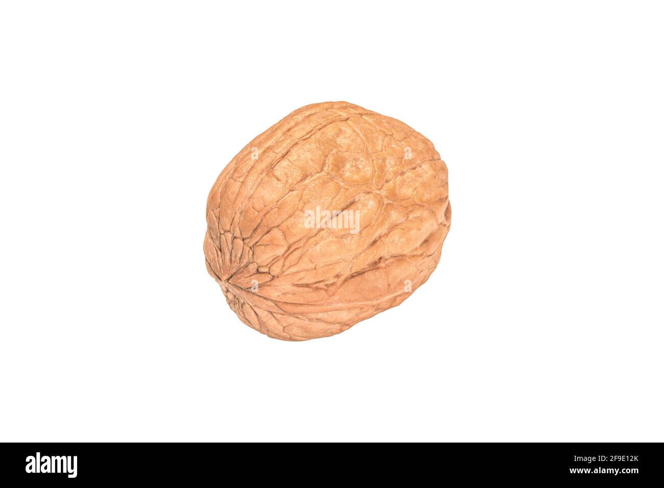 Whole walnut, close-up macro, isolated on a white background Stock ...