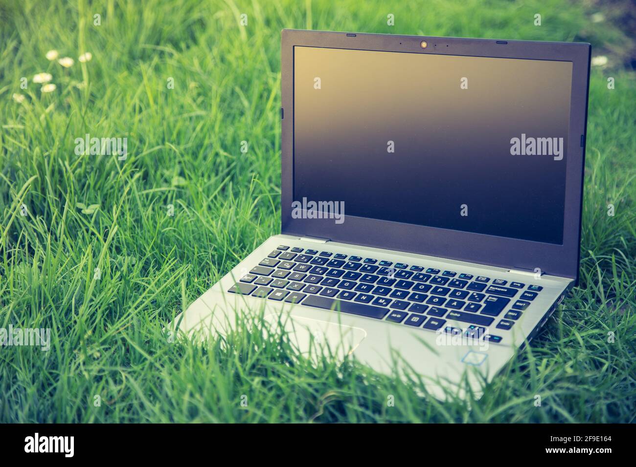 Close up of laptop lying in the green grass, studying and learning ...