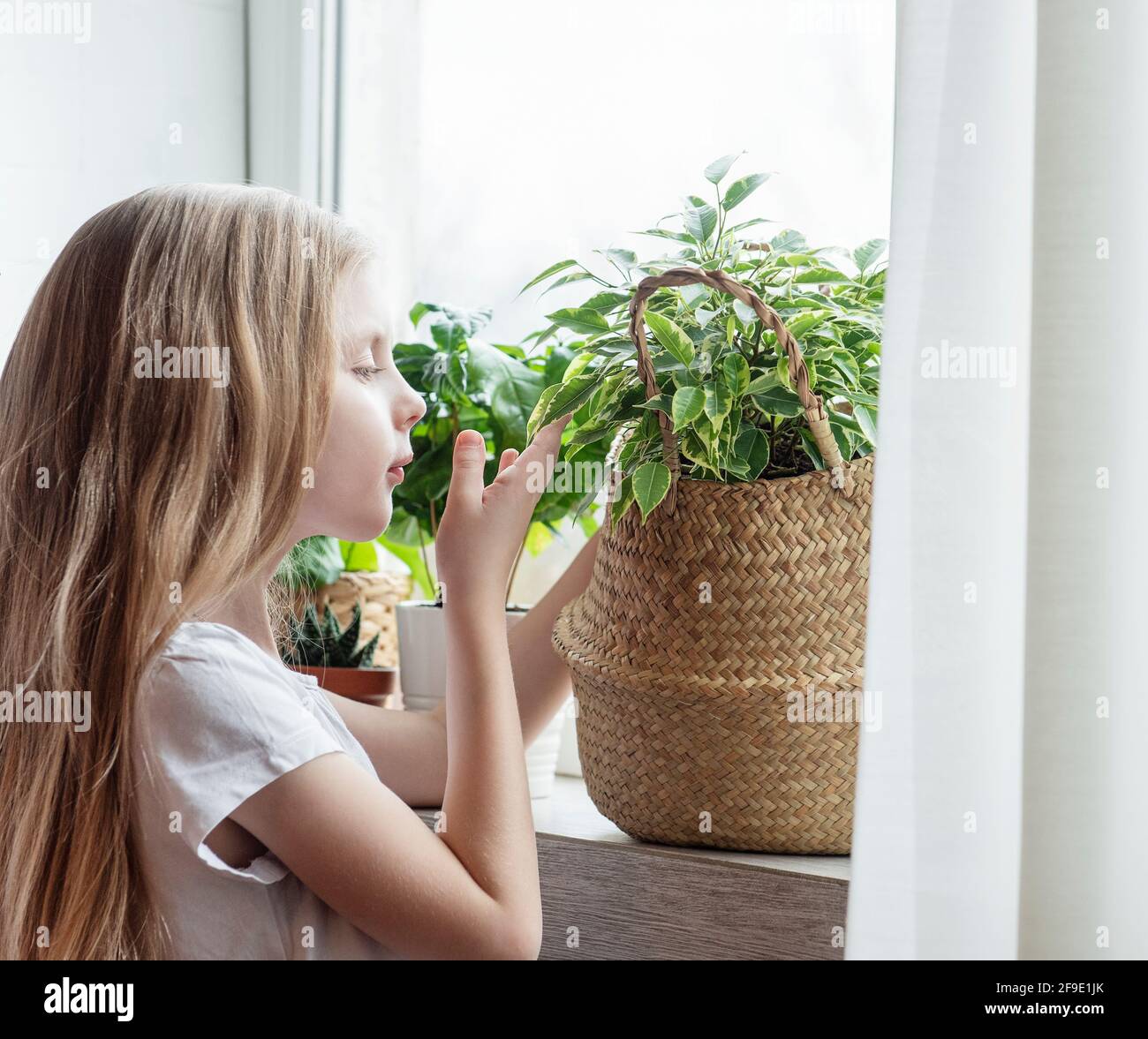 Child caring for plants hi-res stock photography and images - Alamy