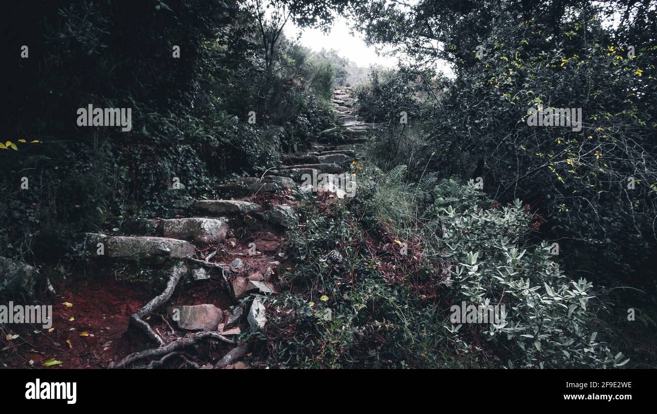 Windy stairs hi-res stock photography and images - Alamy