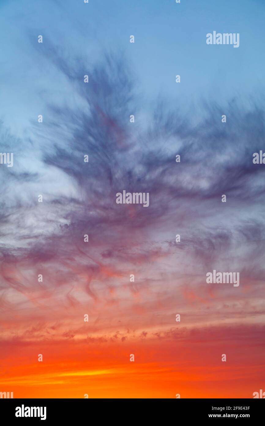 The setting sun lighting up the uderside of the cloud cover with a ...