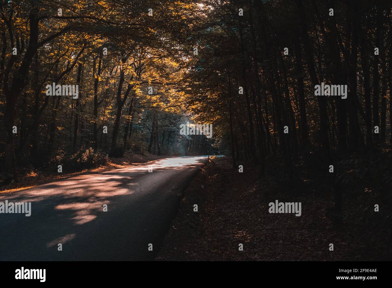 Fore car hi-res stock photography and images - Alamy