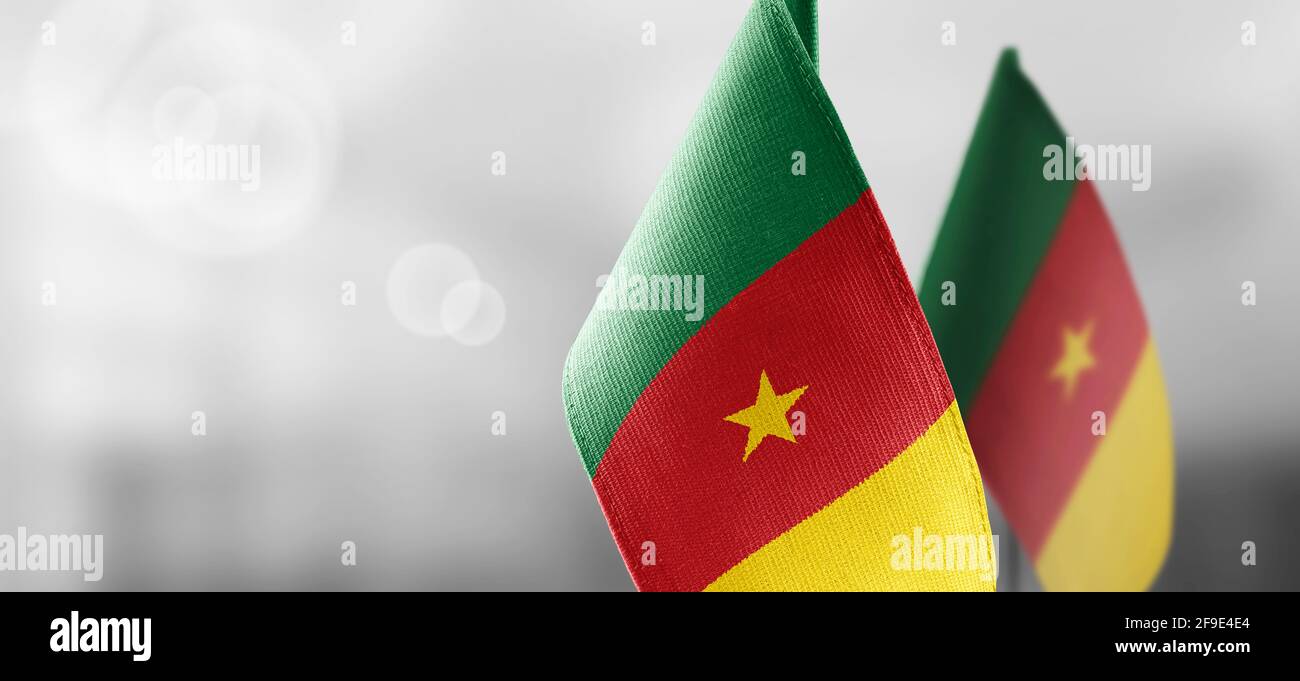 Small national flags of the Cameroon on a light blurry background Stock ...