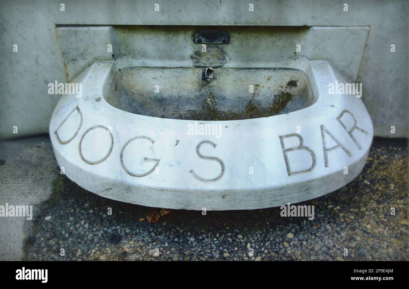 The doggy bar hi-res stock photography and images - Alamy