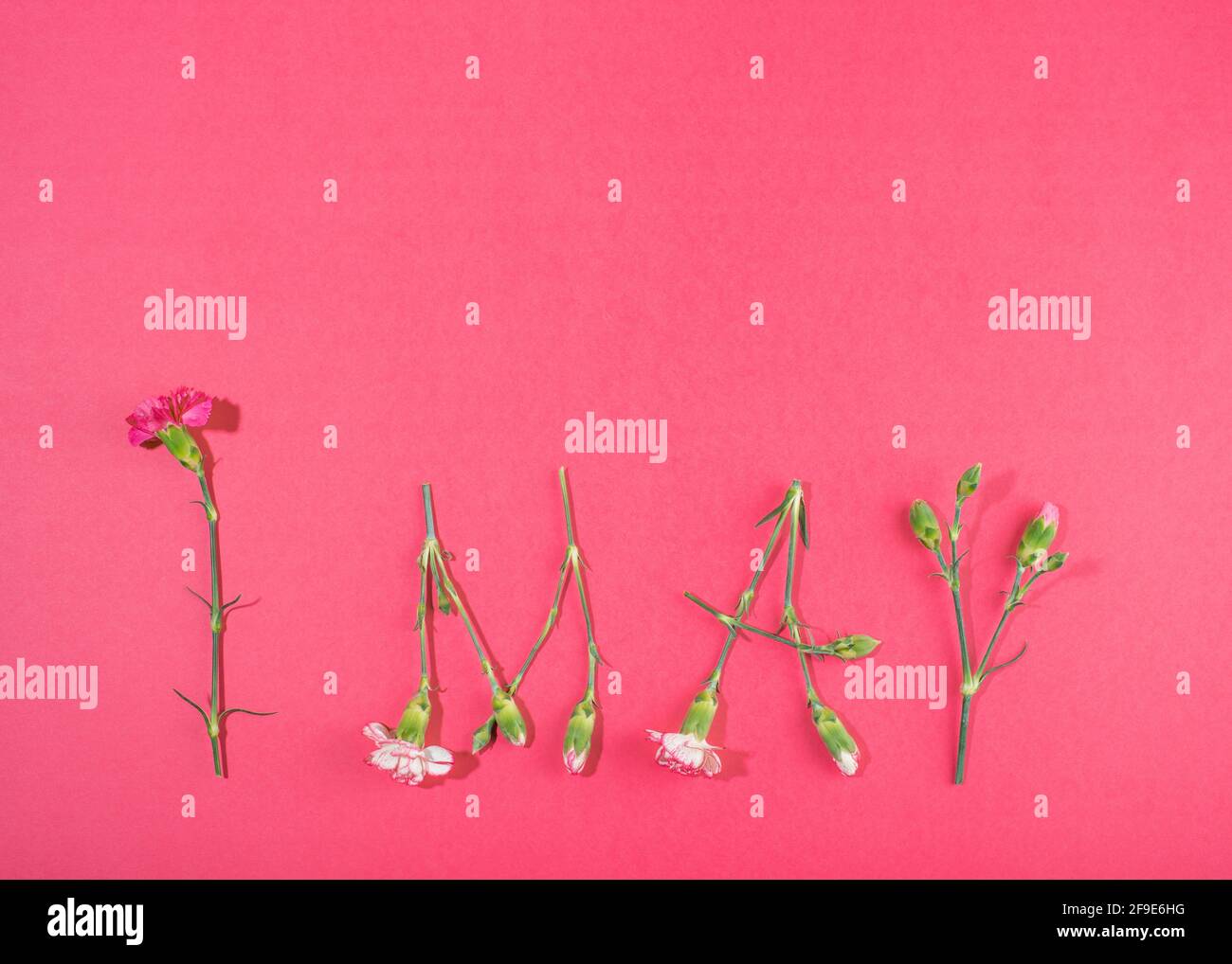 1 May Word made of flowers on pink background. Flat lay, top view Stock ...