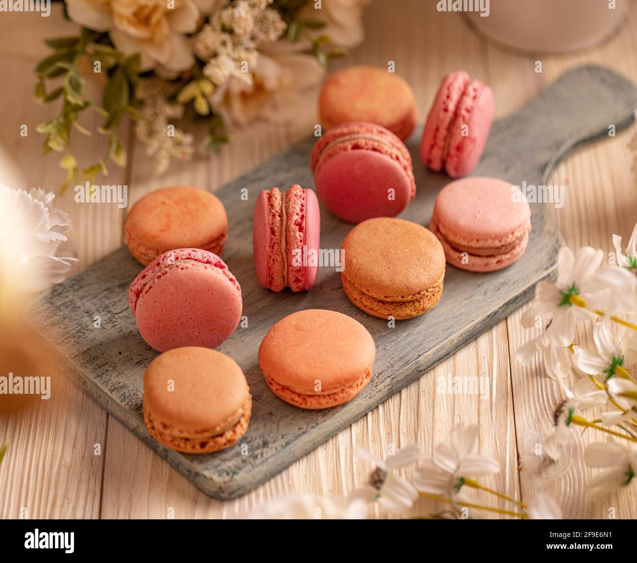 Macaron sweet meringue sandwich cake on still life background Stock ...