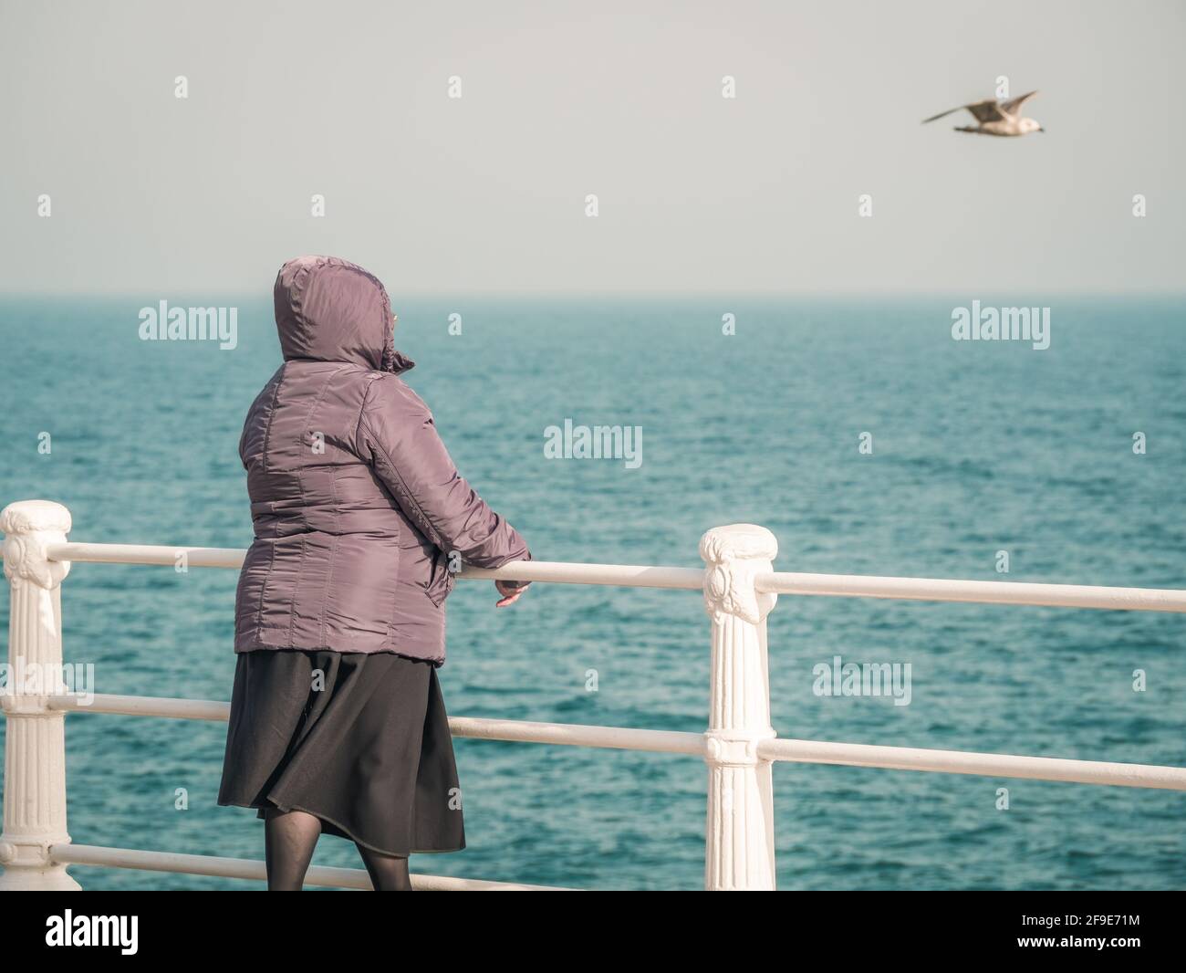 Woman on the seafront looking at a seagull that flies above the water ...