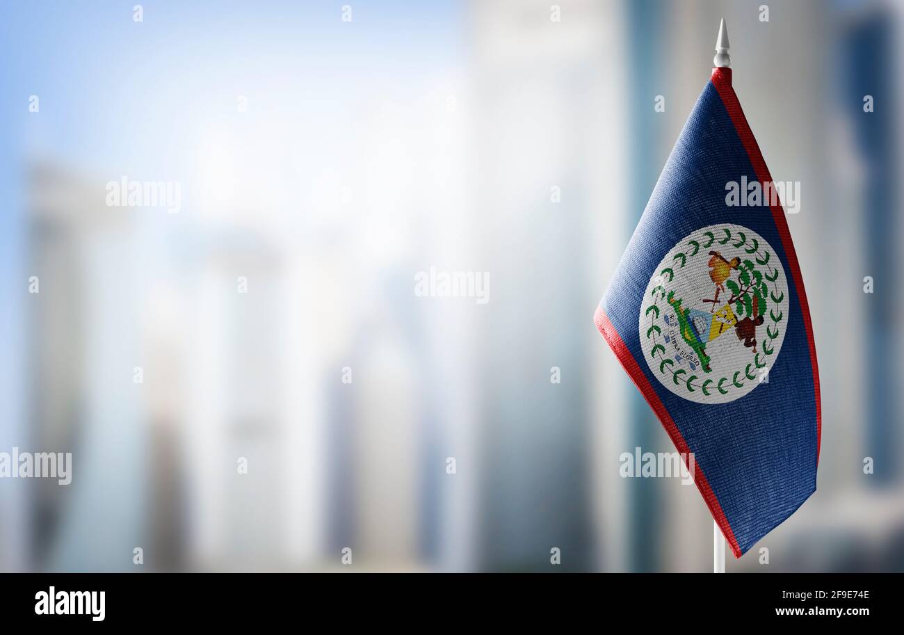 A small flag of Belize on the background of a blurred background Stock ...