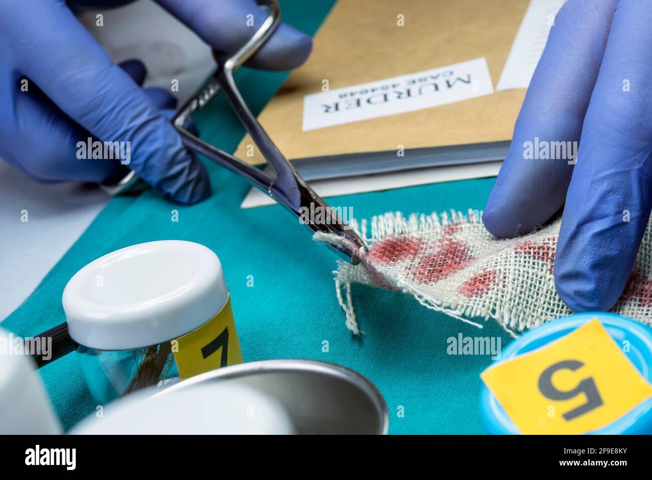 Police specialist examines piece of cloth stained with blood belonging ...