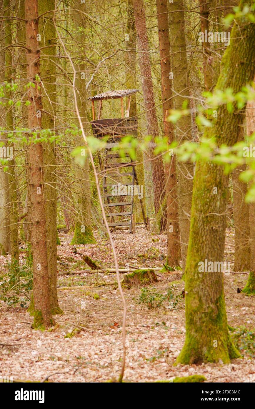 Hunting high seat hi-res stock photography and images - Alamy
