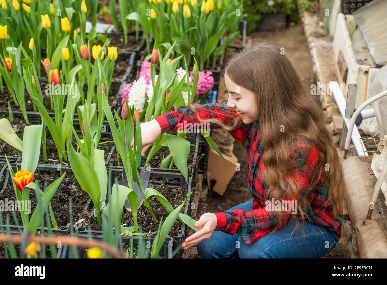Teen girl plant in greenhouse hi-res stock photography and images - Alamy