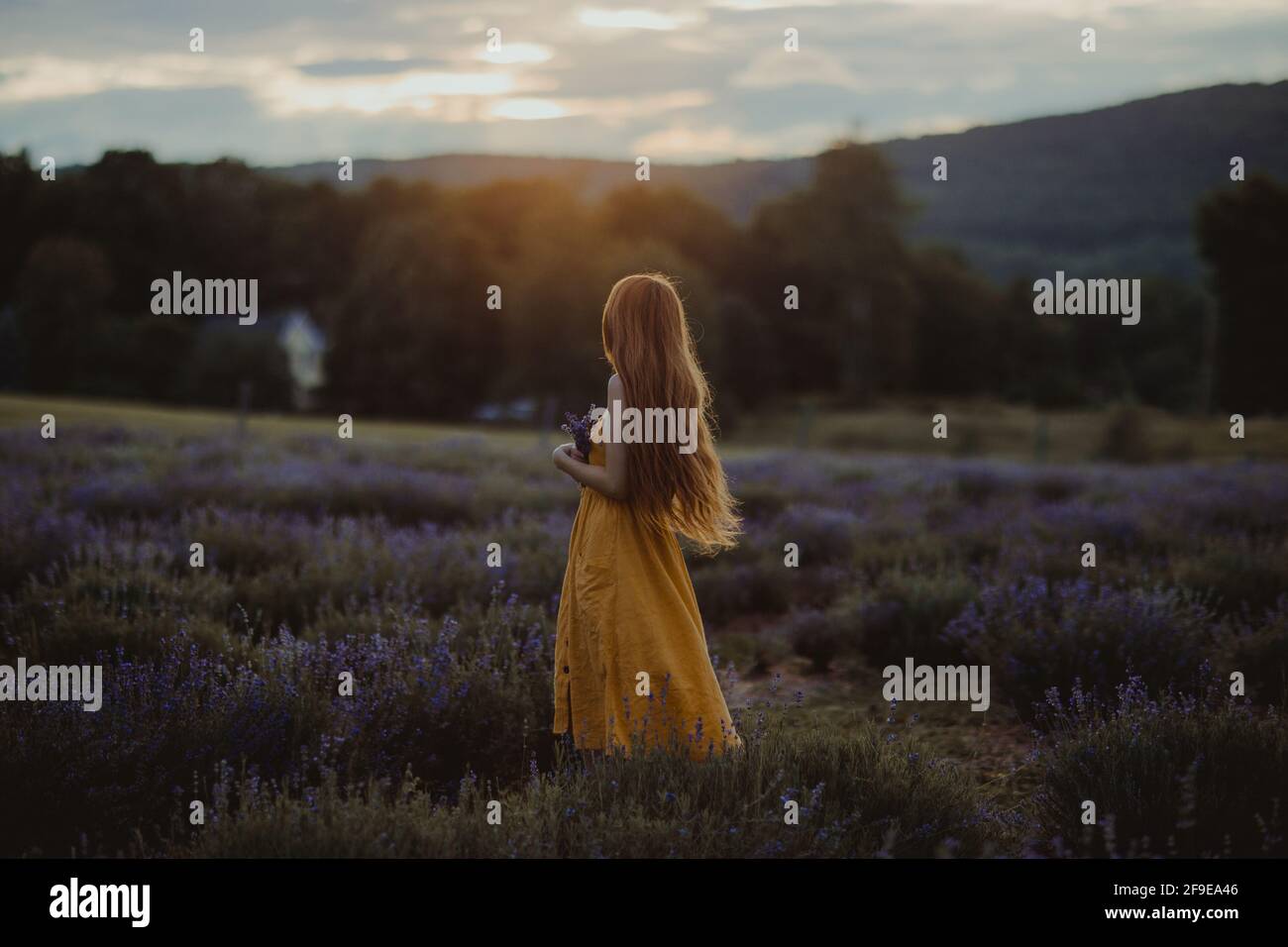 Side view of gentle female with flowers in hand standing in blooming ...