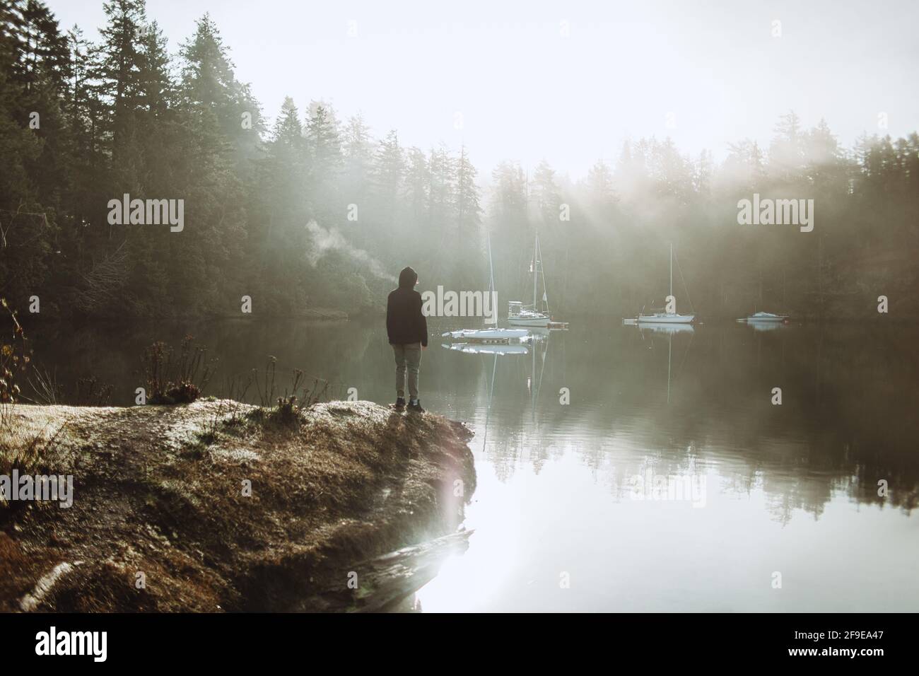 Anonymous person standing looking at a lake on a foggy day Stock Photo ...