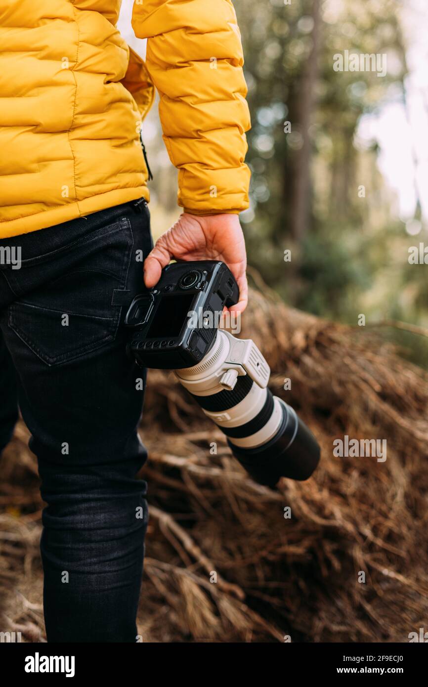 Rear view of an anonymous photographer holding his camera in the ...