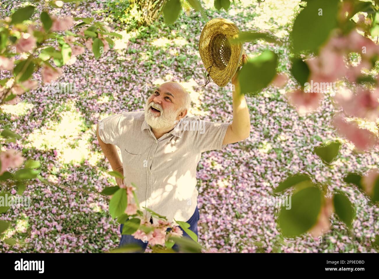 Imagining things hi-res stock photography and images - Alamy