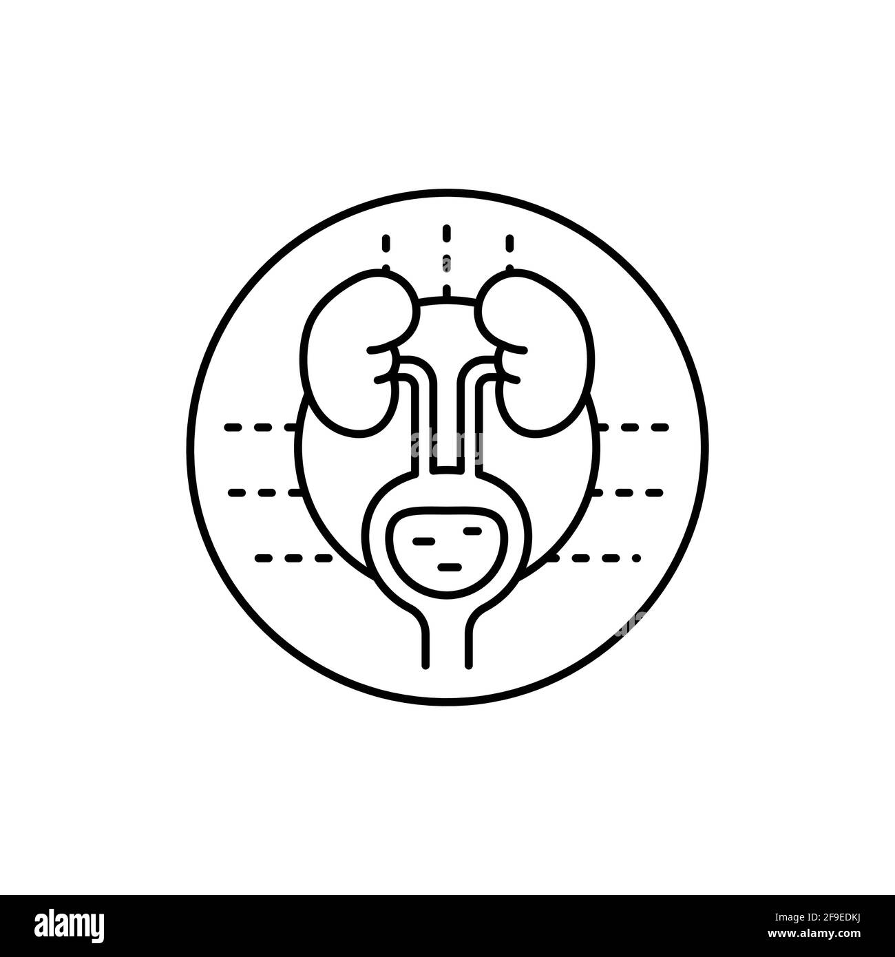 Urology color line icon. Pictogram for web page, mobile app Stock ...