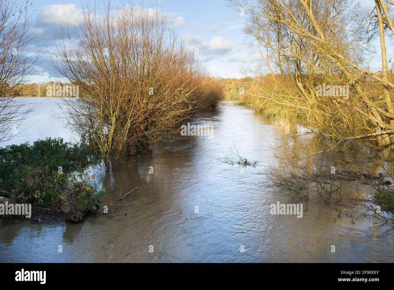 Overflowing, swollen river with flooding in adjacent fields. Buckinghamshire, UK Stock Photo - Alamy