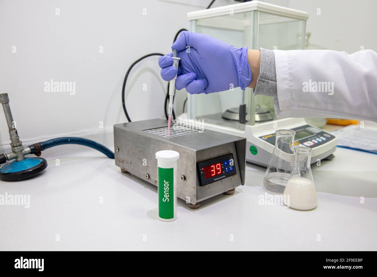 Antibiogram hi-res stock photography and images - Alamy