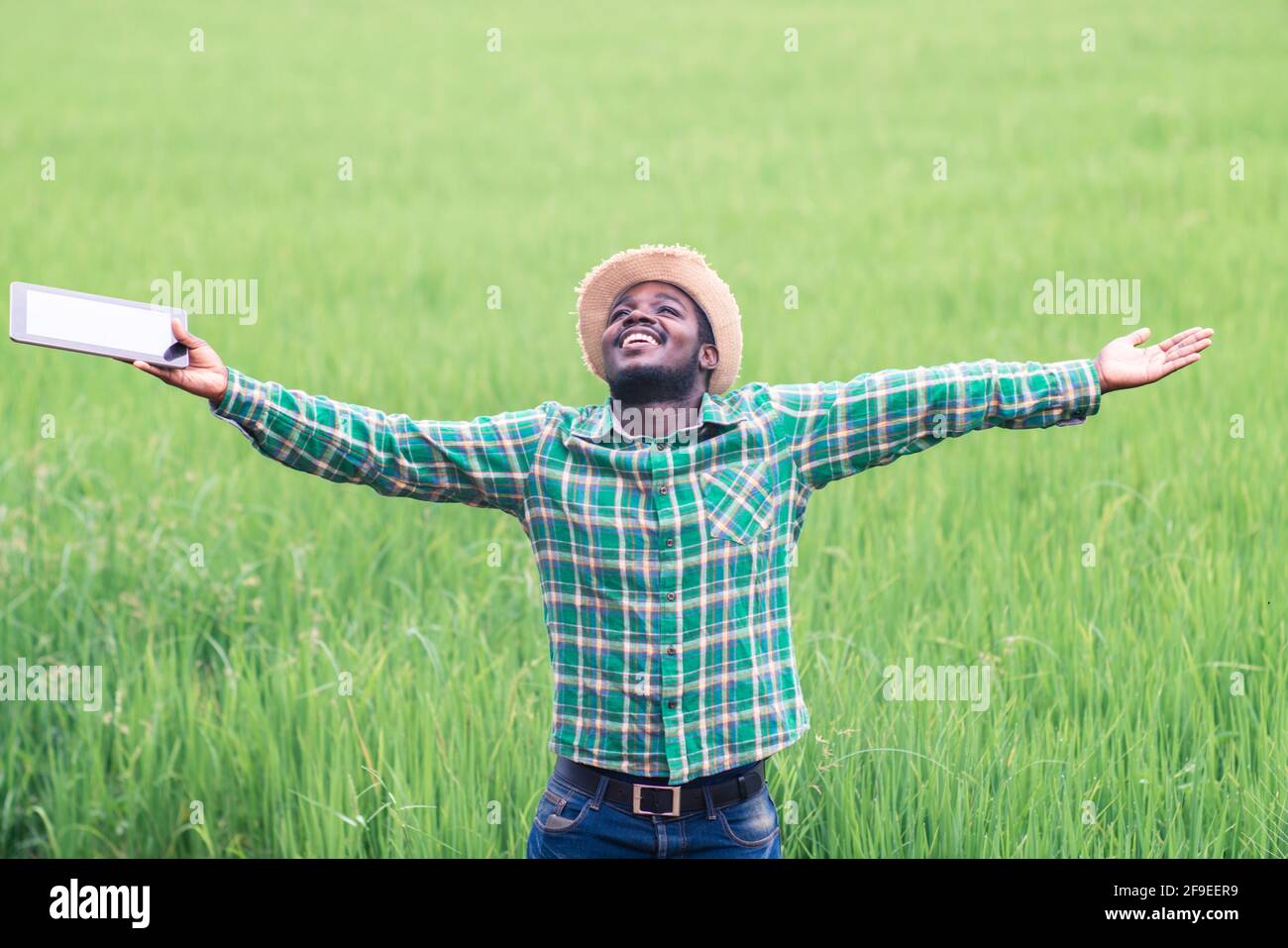 Successful african farmer holding tablet for research in organic rice ...