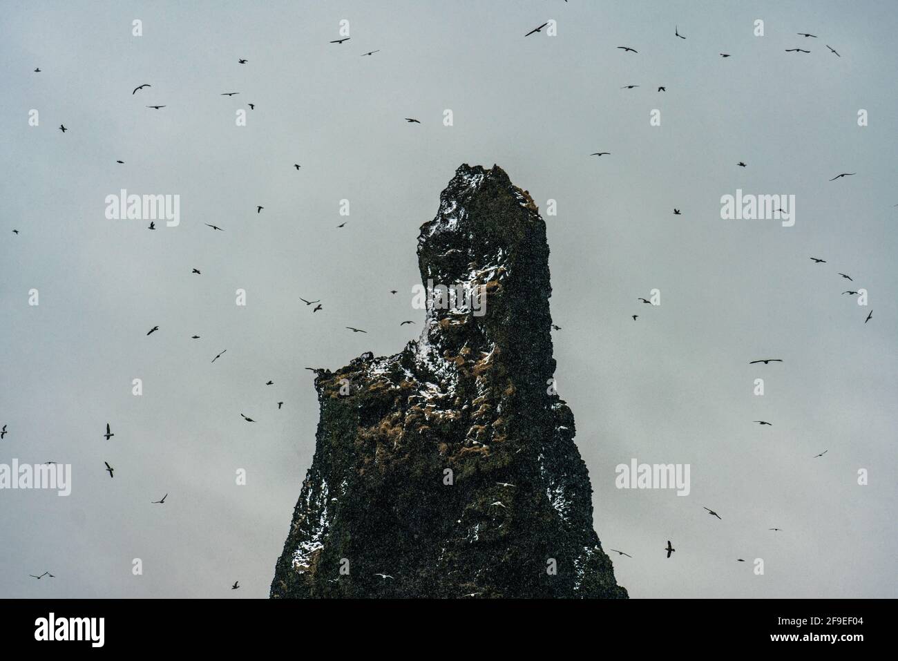 Basalt rock formations Troll toes on black beach. at storm ...