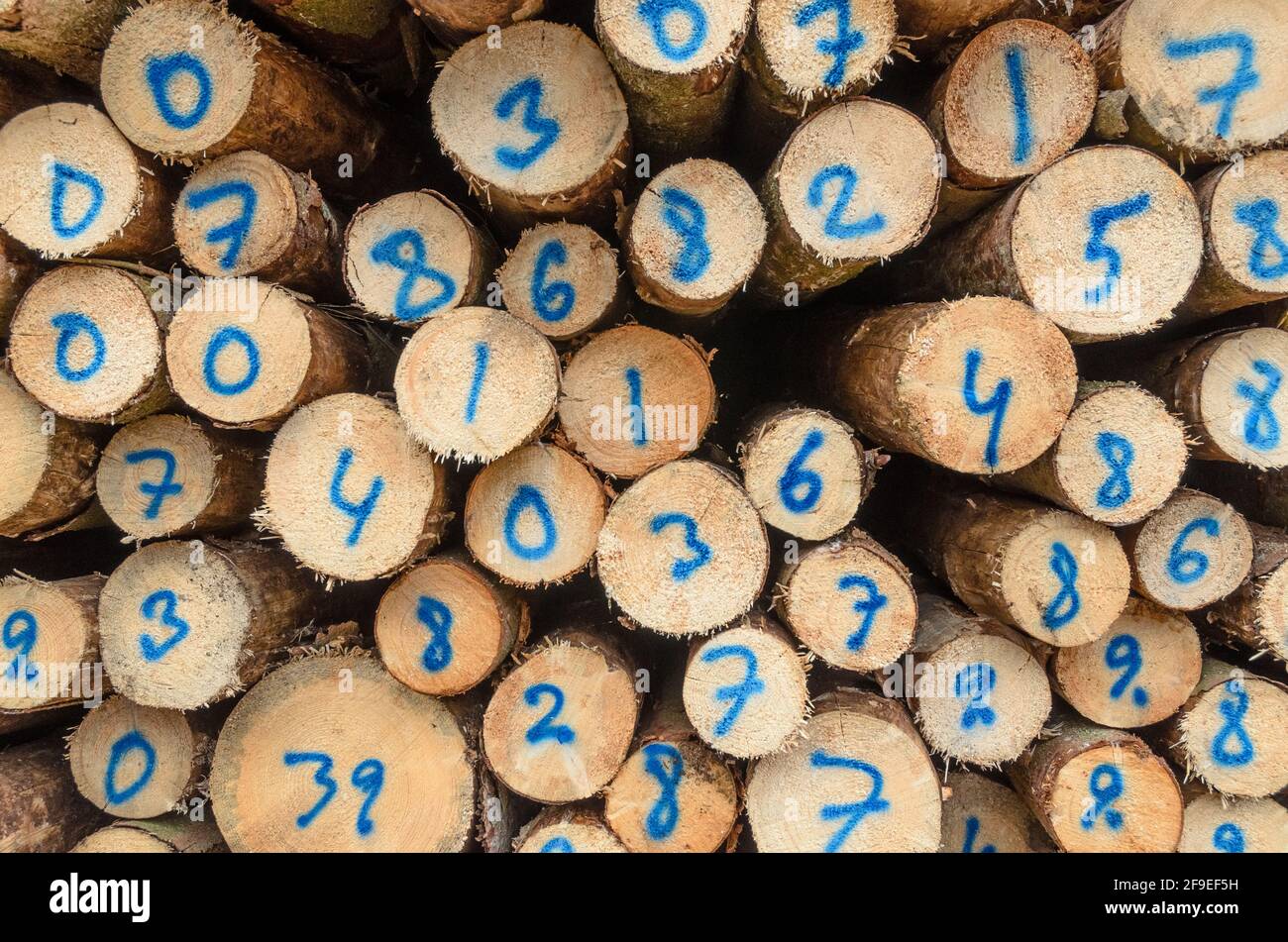 Numbers cut in wood hi-res stock photography and images - Alamy