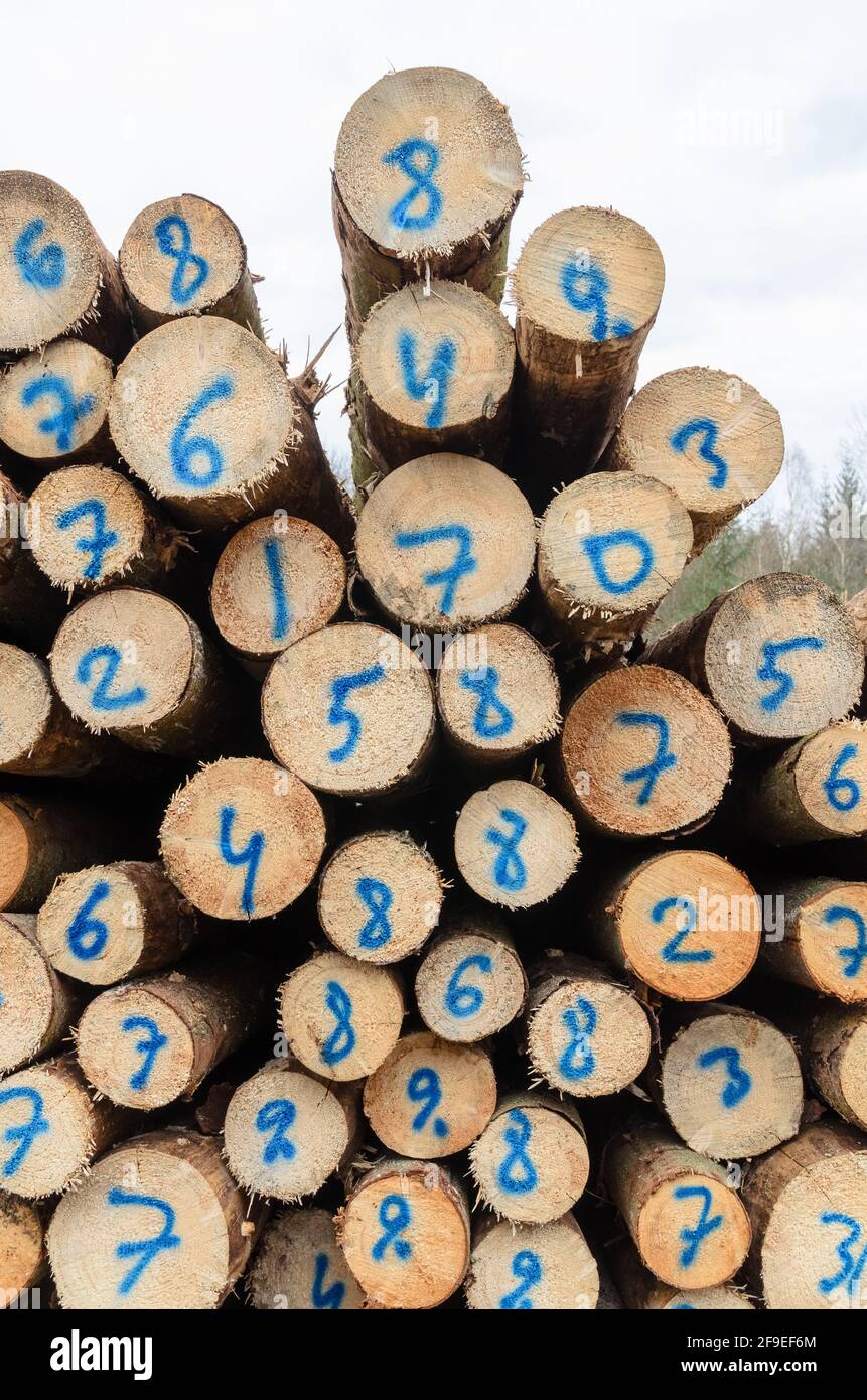 Numbers cut in wood hi-res stock photography and images - Alamy