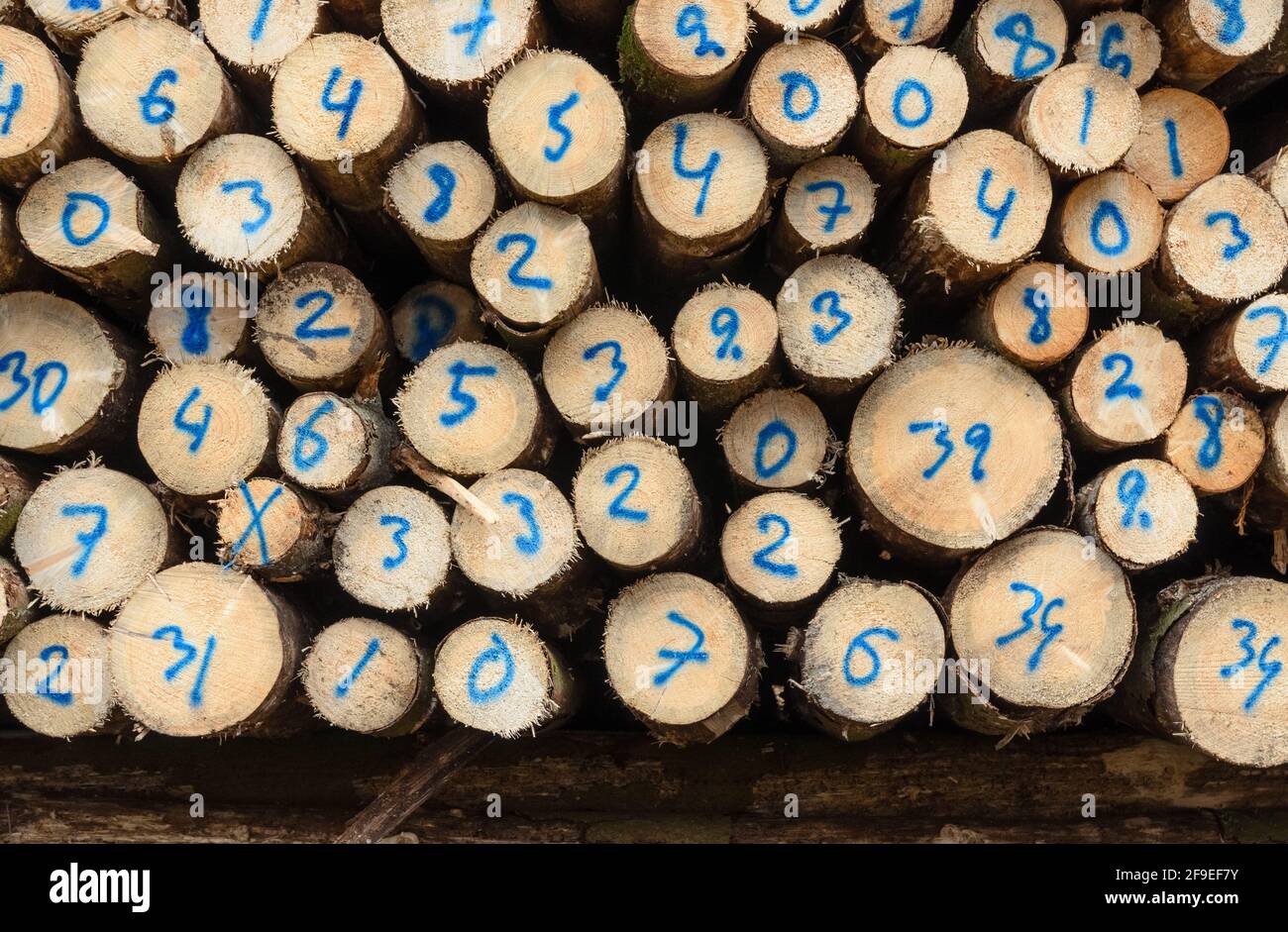 Counting cross hi-res stock photography and images - Alamy