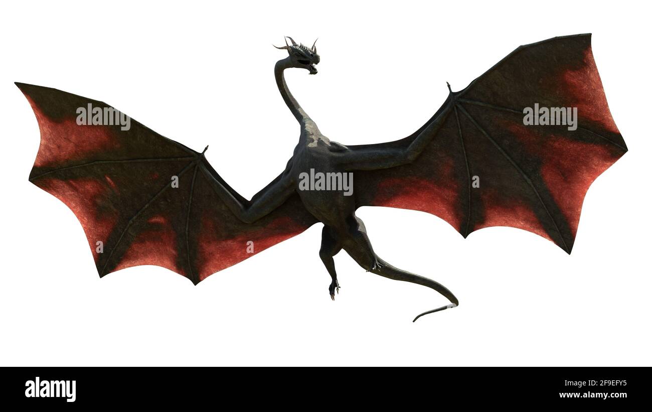 dragon, mythical flying serpent isolated on white background Stock ...