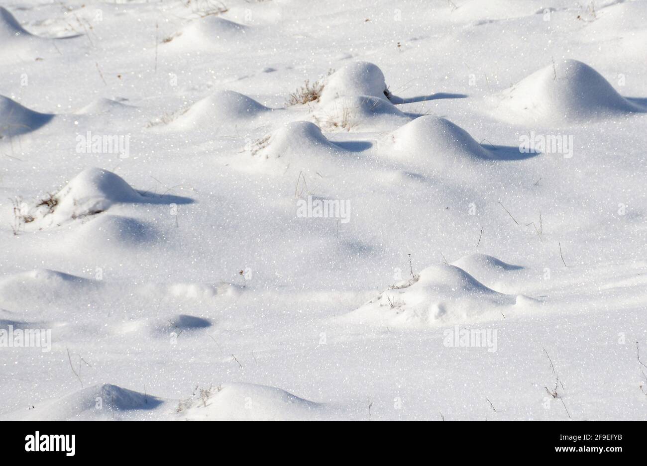 The snow-covered bumpy shining surface - snowy winter Stock Photo - Alamy
