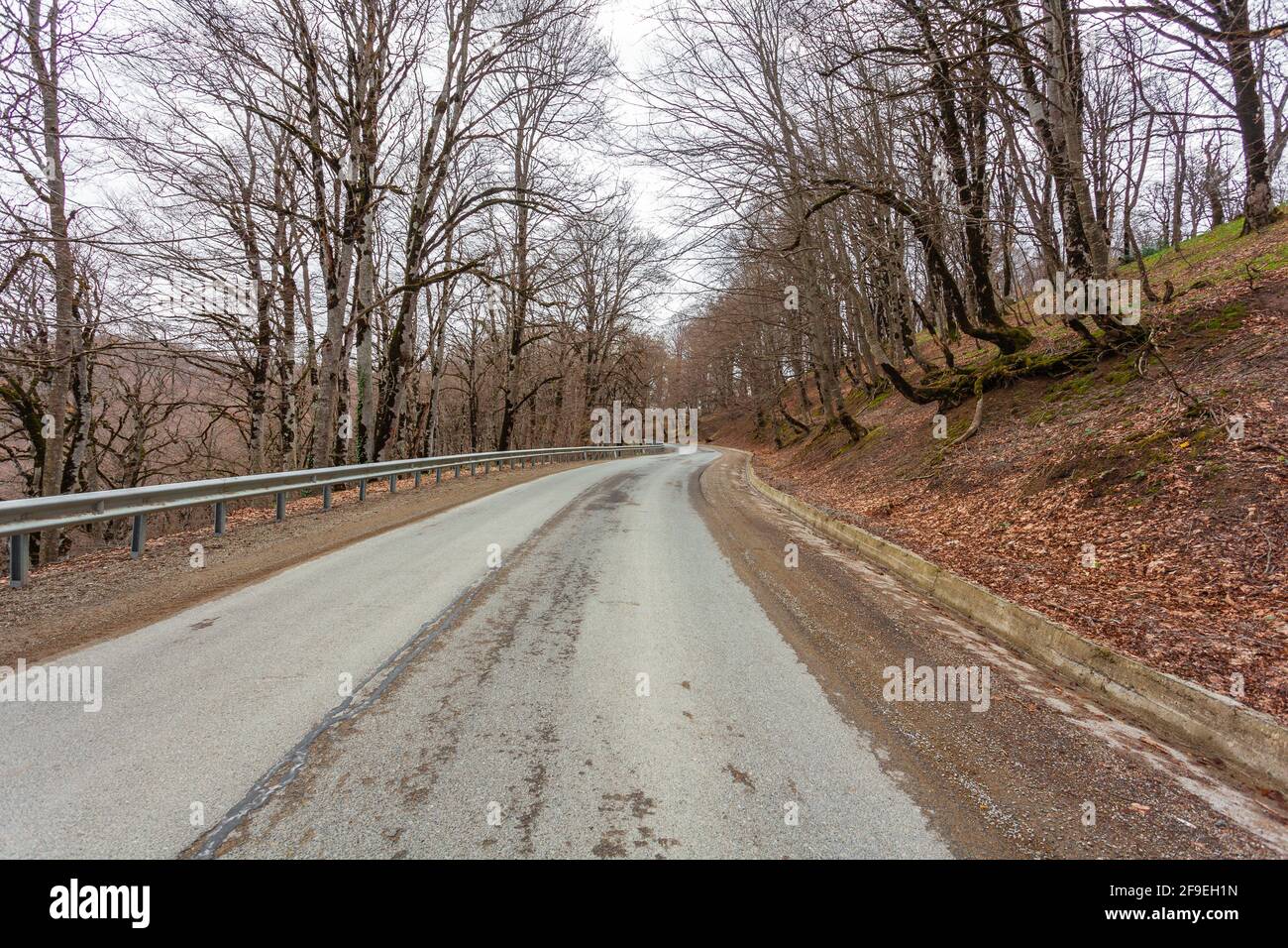 Sabaduri forest in spring, a beautiful place in the north of Tbilisi ...