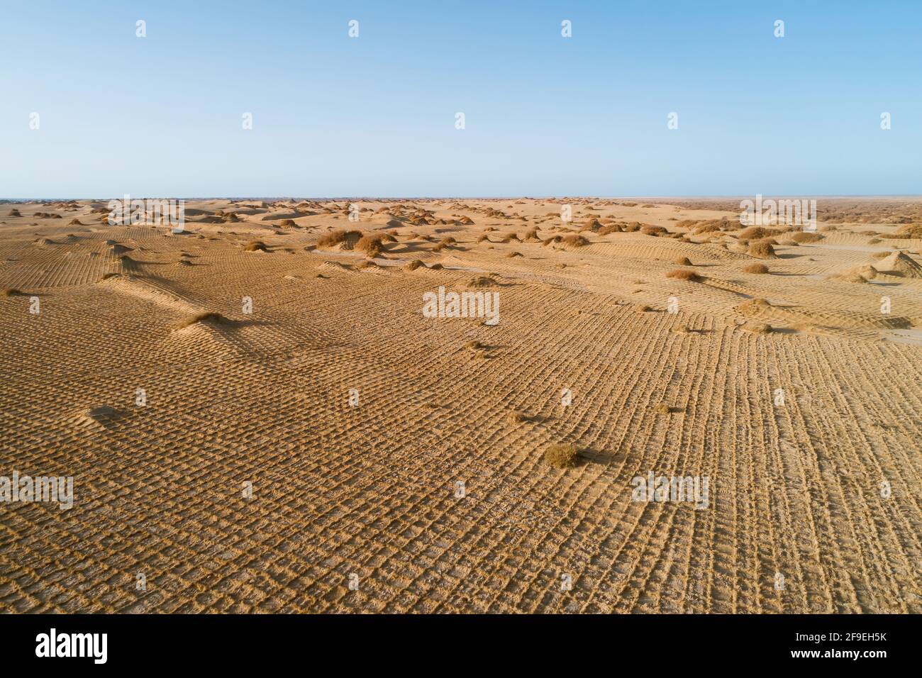 Buzzing dune hi-res stock photography and images - Alamy