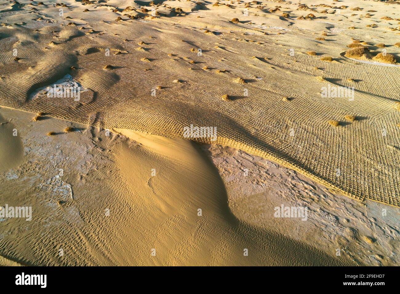 Aerial photography of desert sand fixation Stock Photo - Alamy