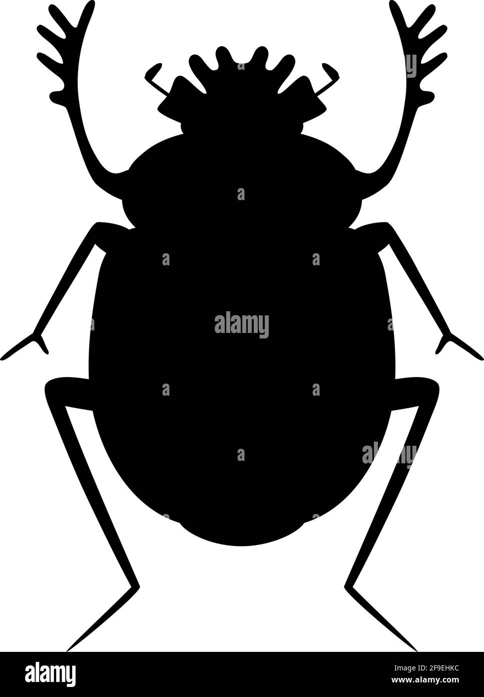 Ancient insect biology Stock Vector Images - Alamy