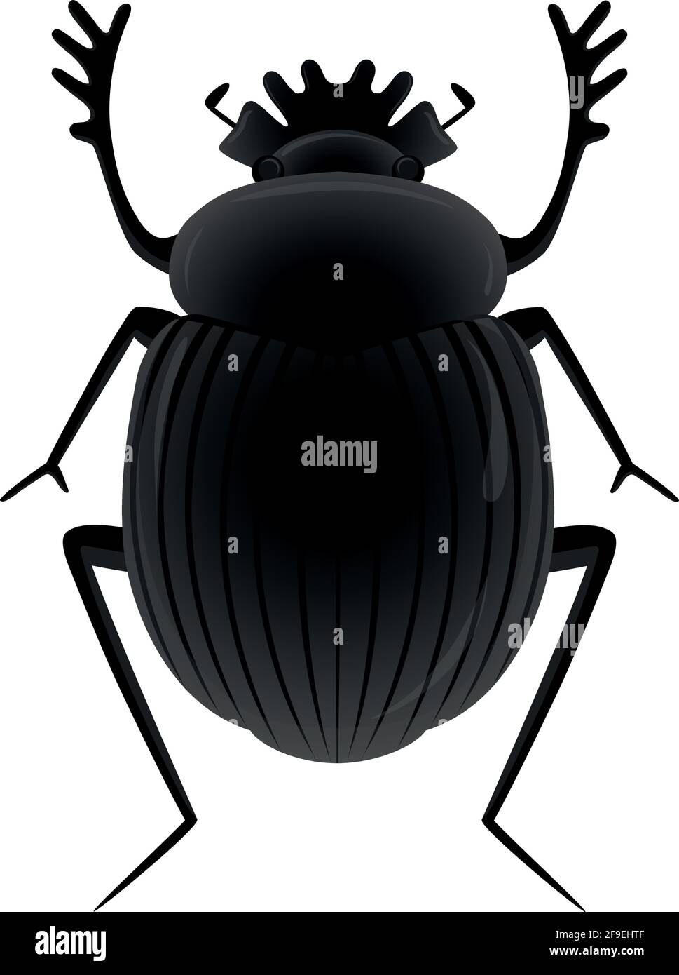 Geotrupidae Stock Vector Images - Alamy