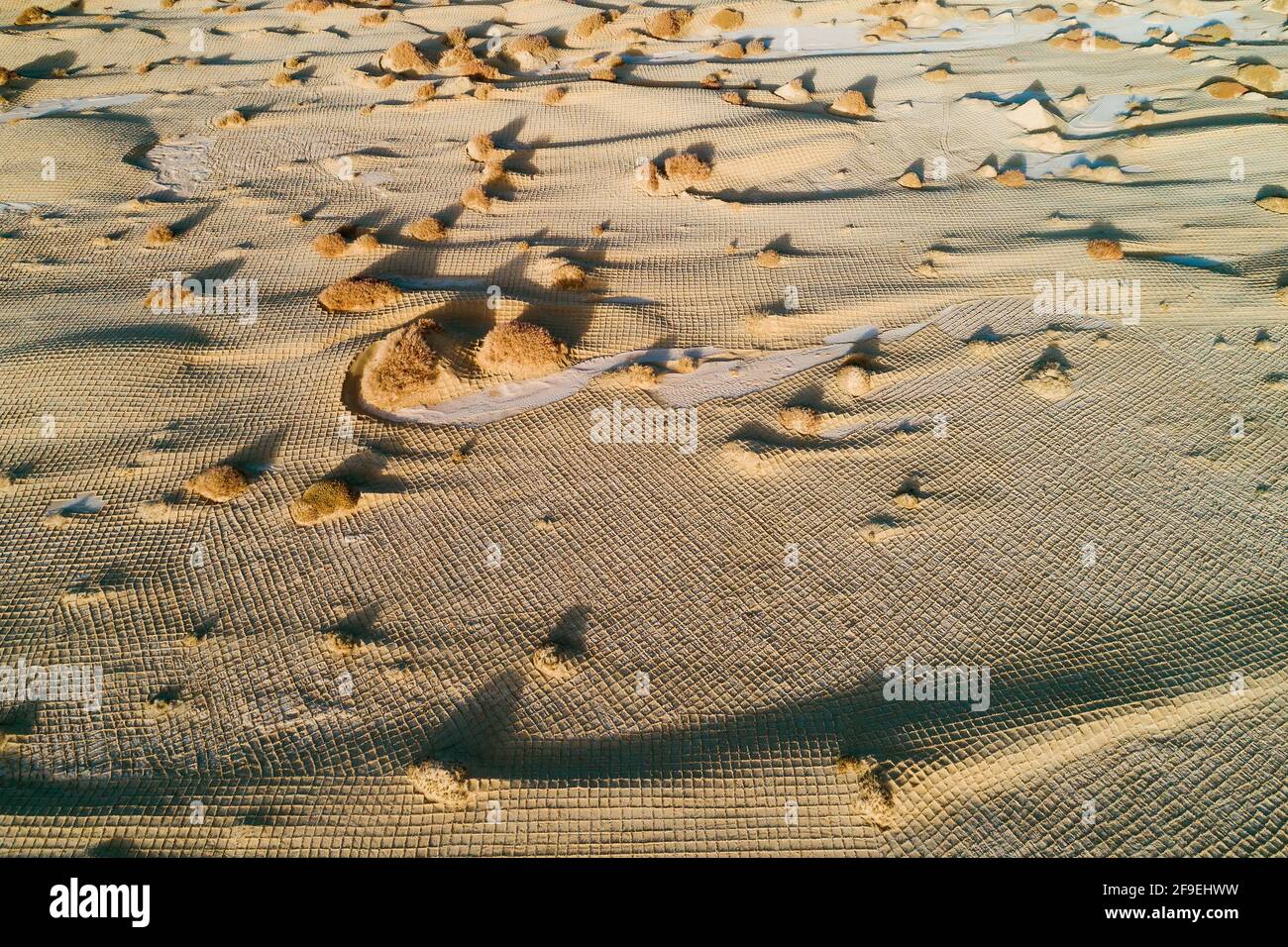 Aerial photography of desert sand fixation Stock Photo - Alamy
