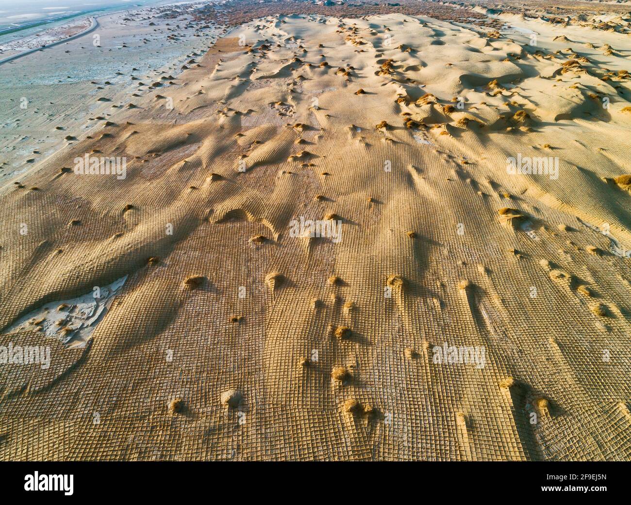Aerial photography of desert sand fixation Stock Photo - Alamy