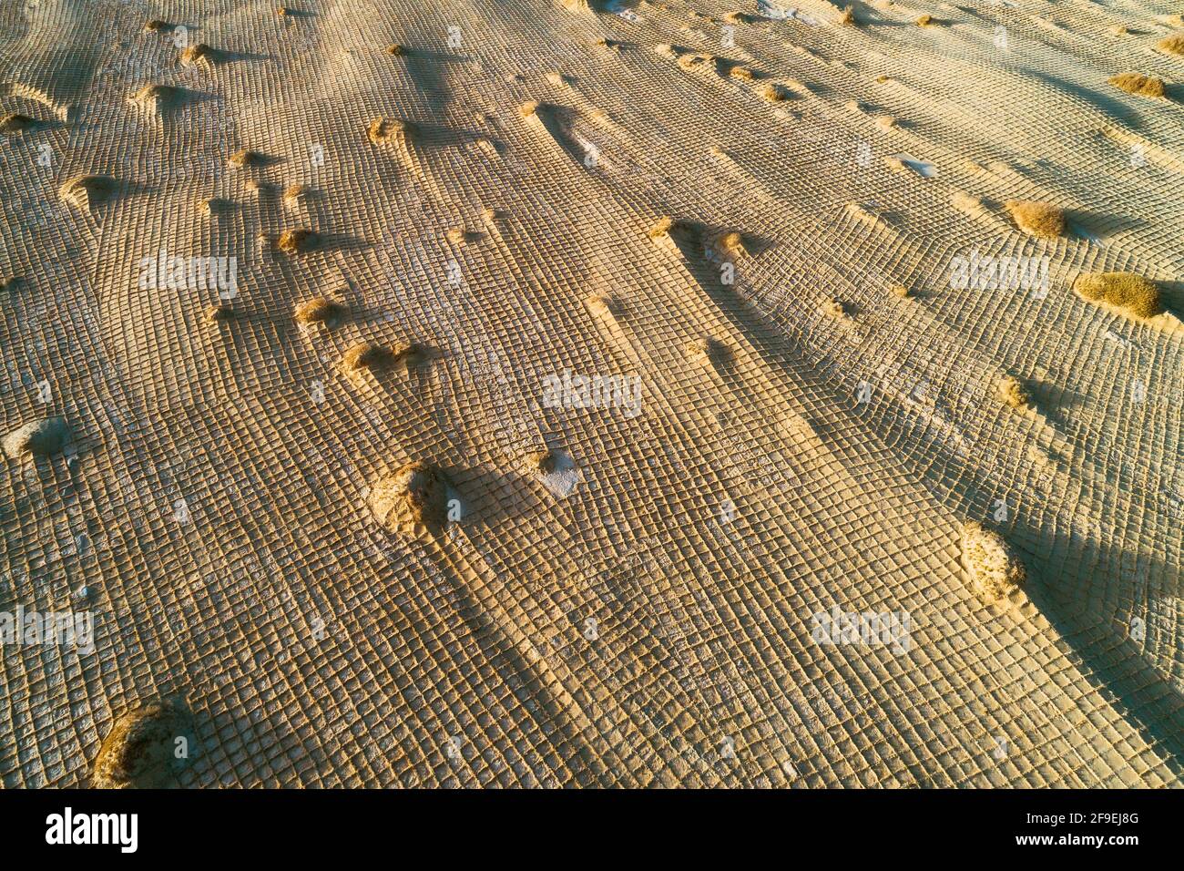 Aerial photography of desert sand fixation Stock Photo - Alamy
