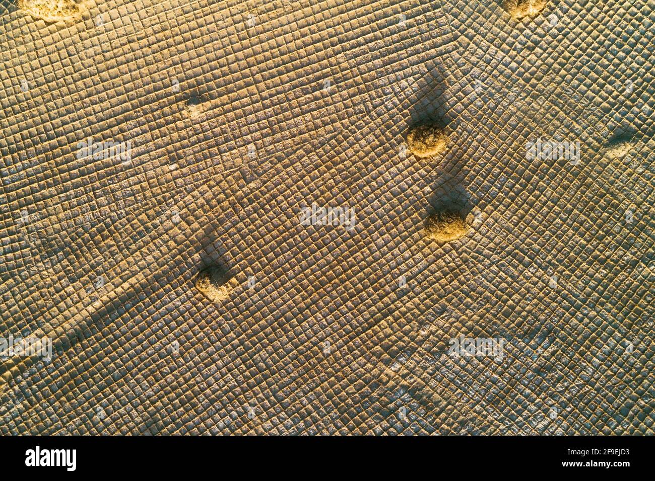 Aerial photography of desert sand fixation Stock Photo - Alamy