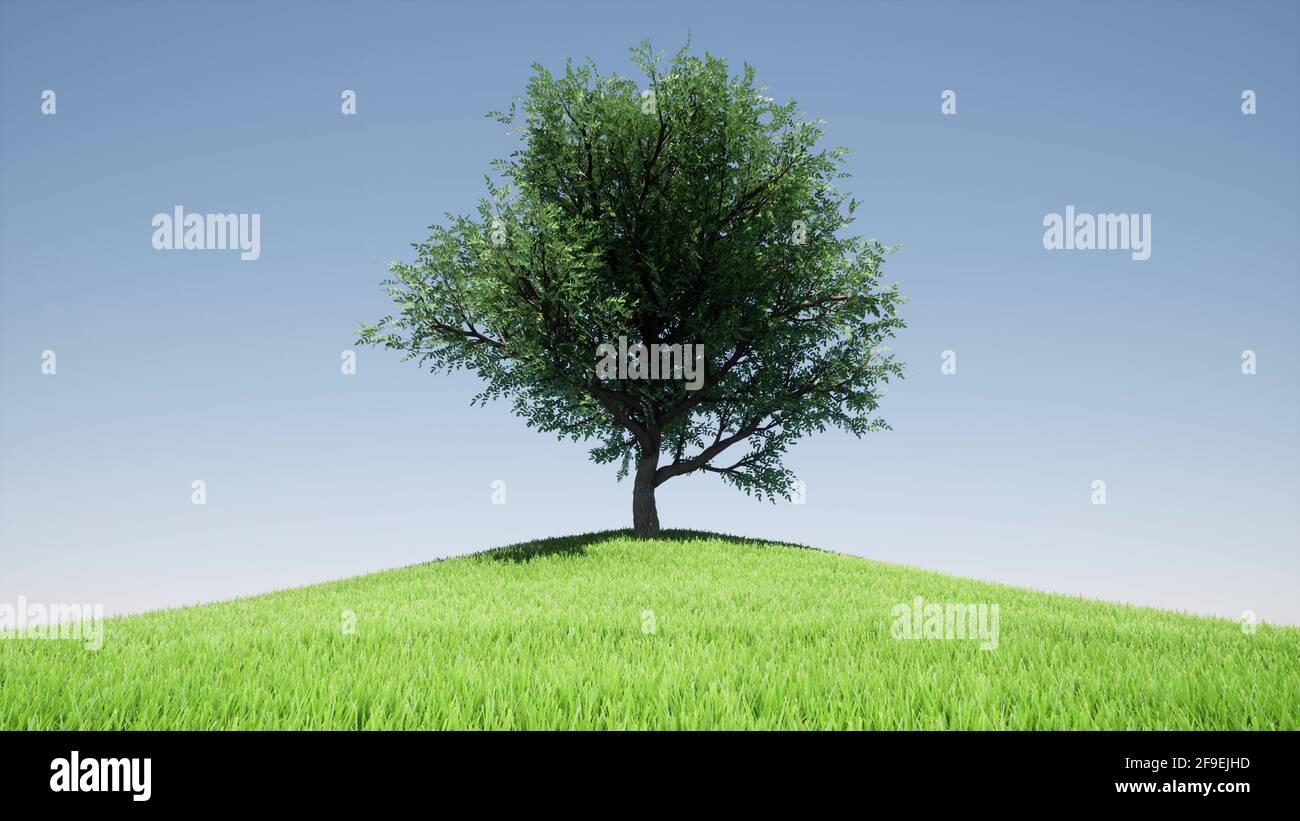 One tree hill Blue sky green landscape summer field nature background ...