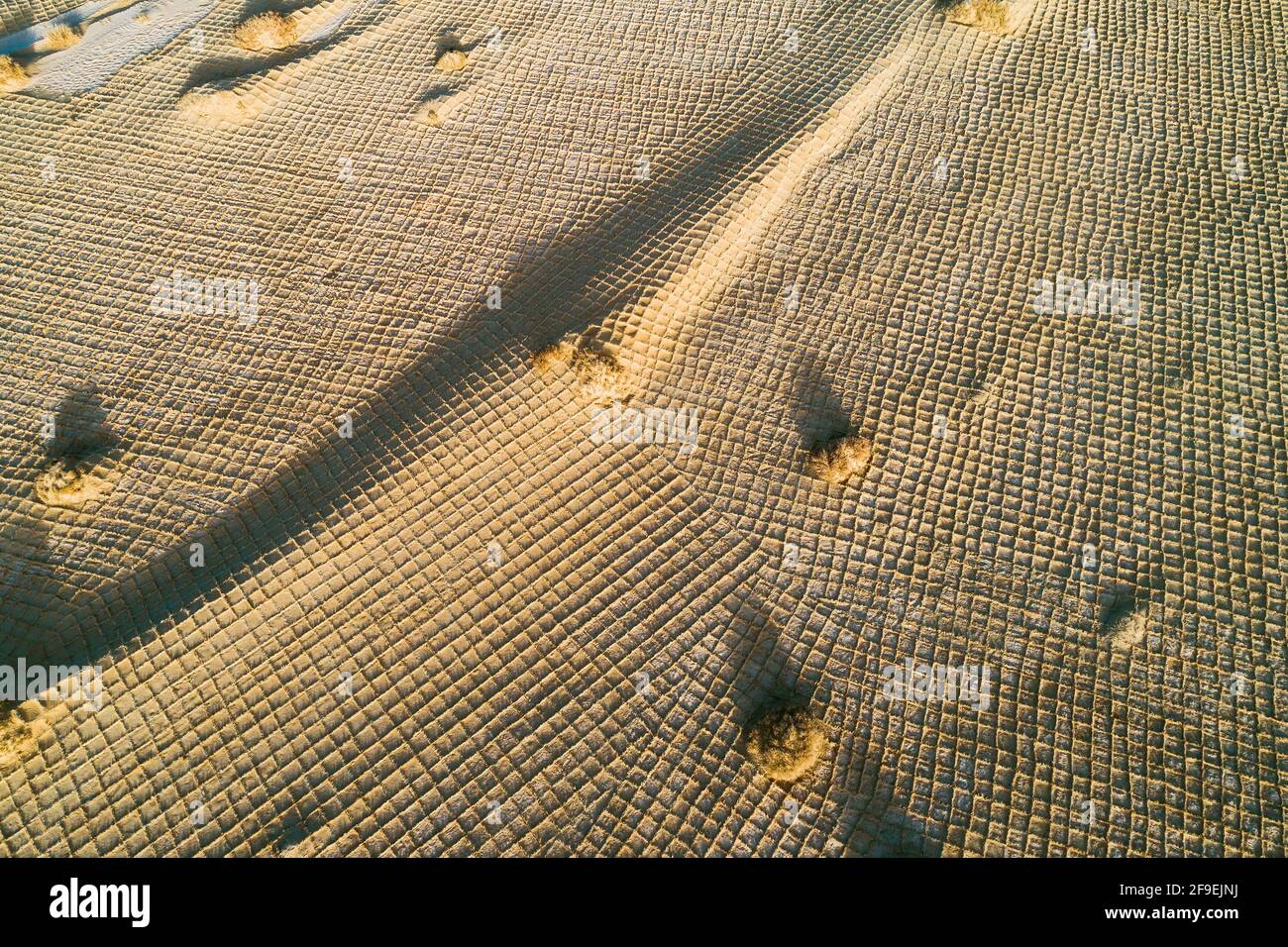Aerial photography of desert sand fixation Stock Photo - Alamy