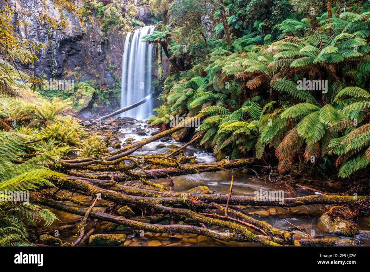 Amazing Hopetoun falls in the Great Otway National Park, Victoria ...