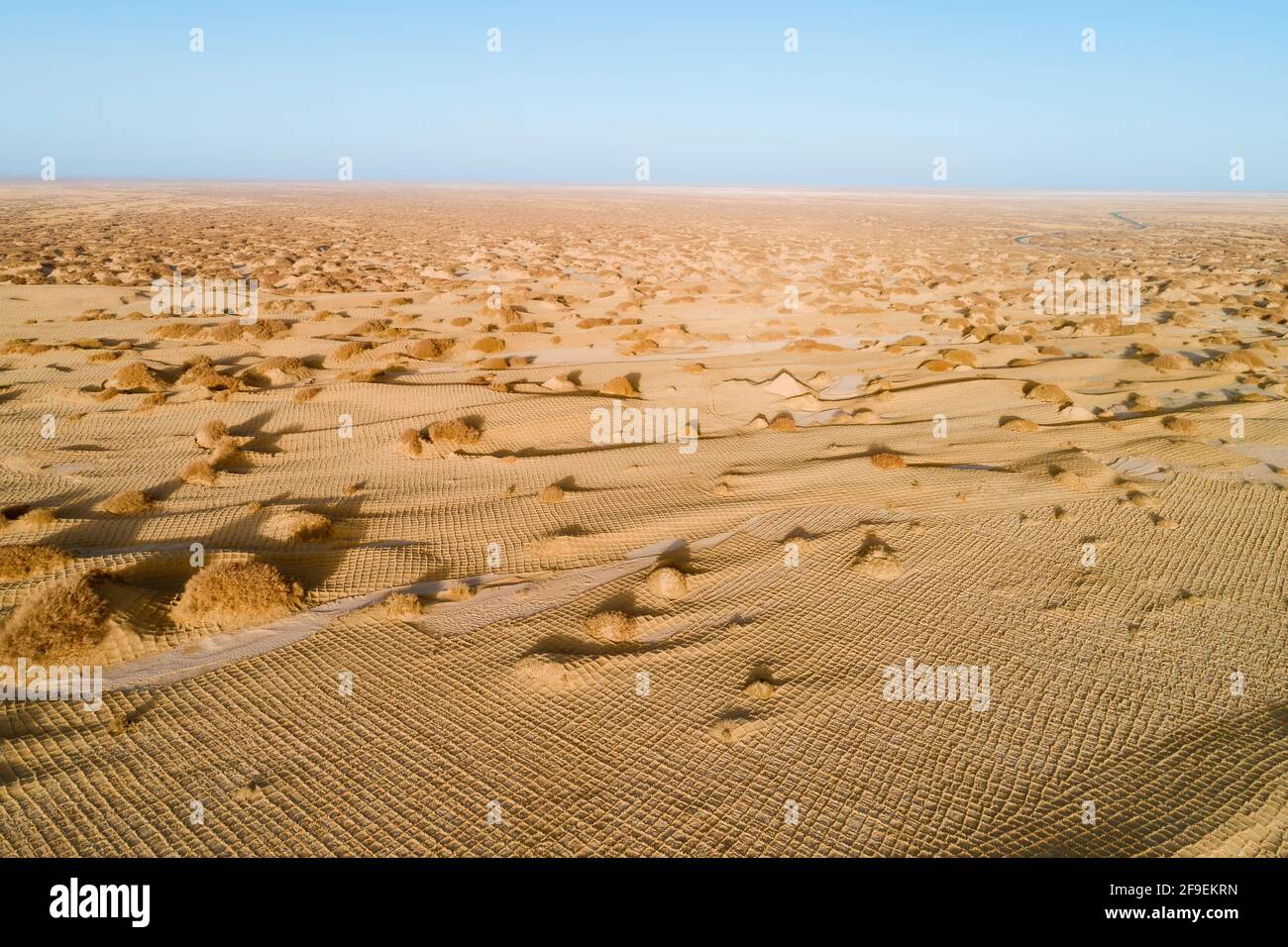 Aerial photography of desert sand fixation Stock Photo - Alamy