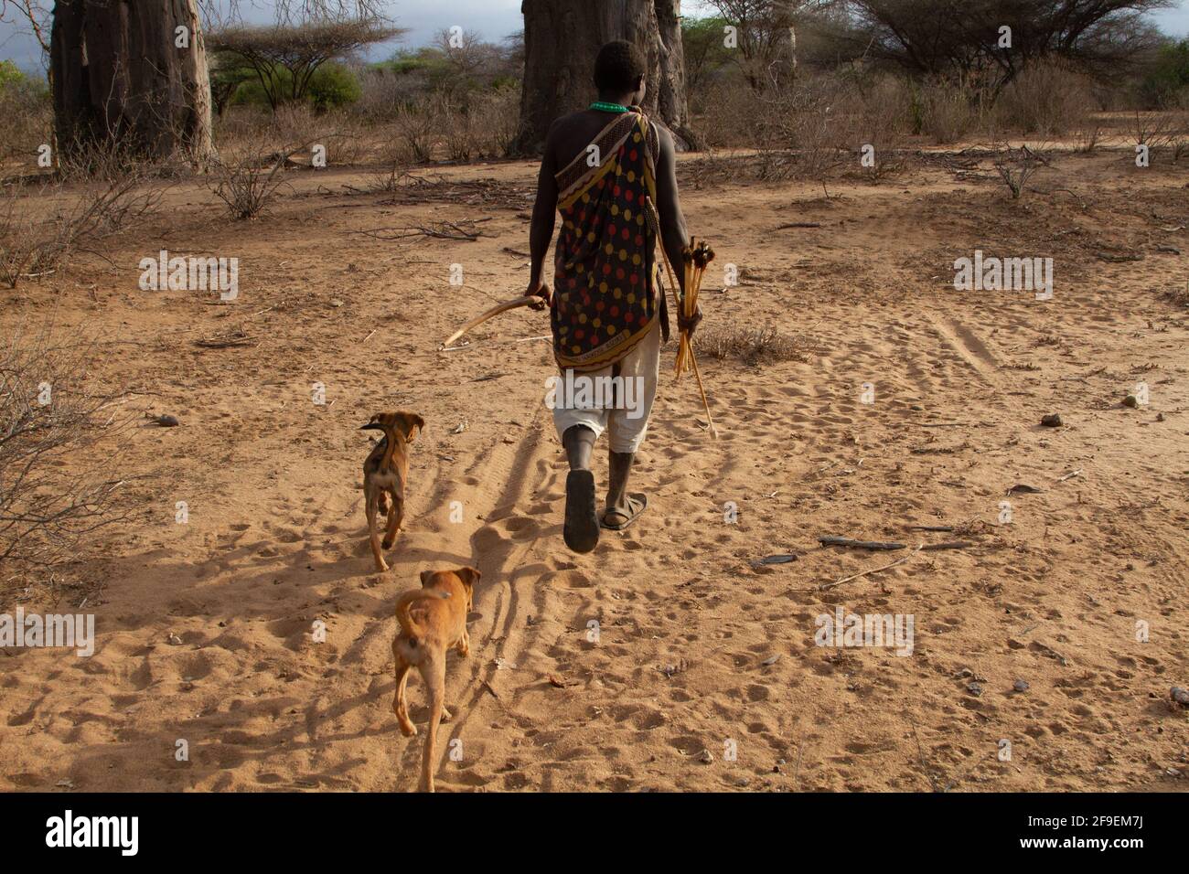 Hadzabe hadza tribe hunting bow hi-res stock photography and images - Alamy