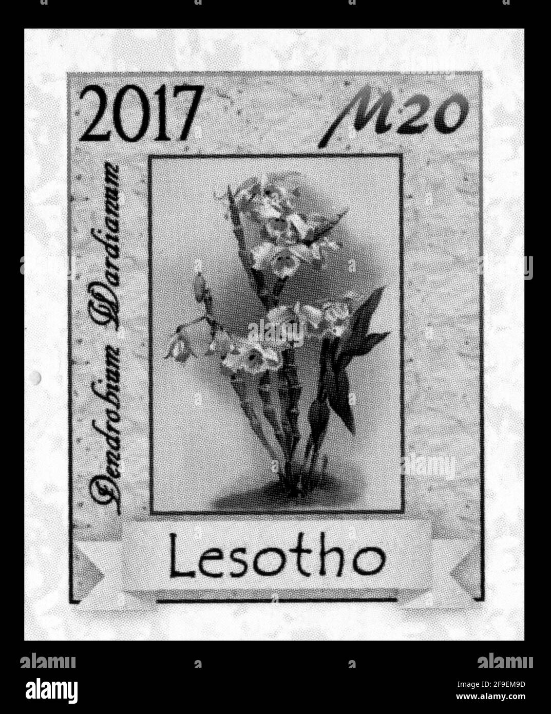 Lesotho background Black and White Stock Photos & Images - Alamy
