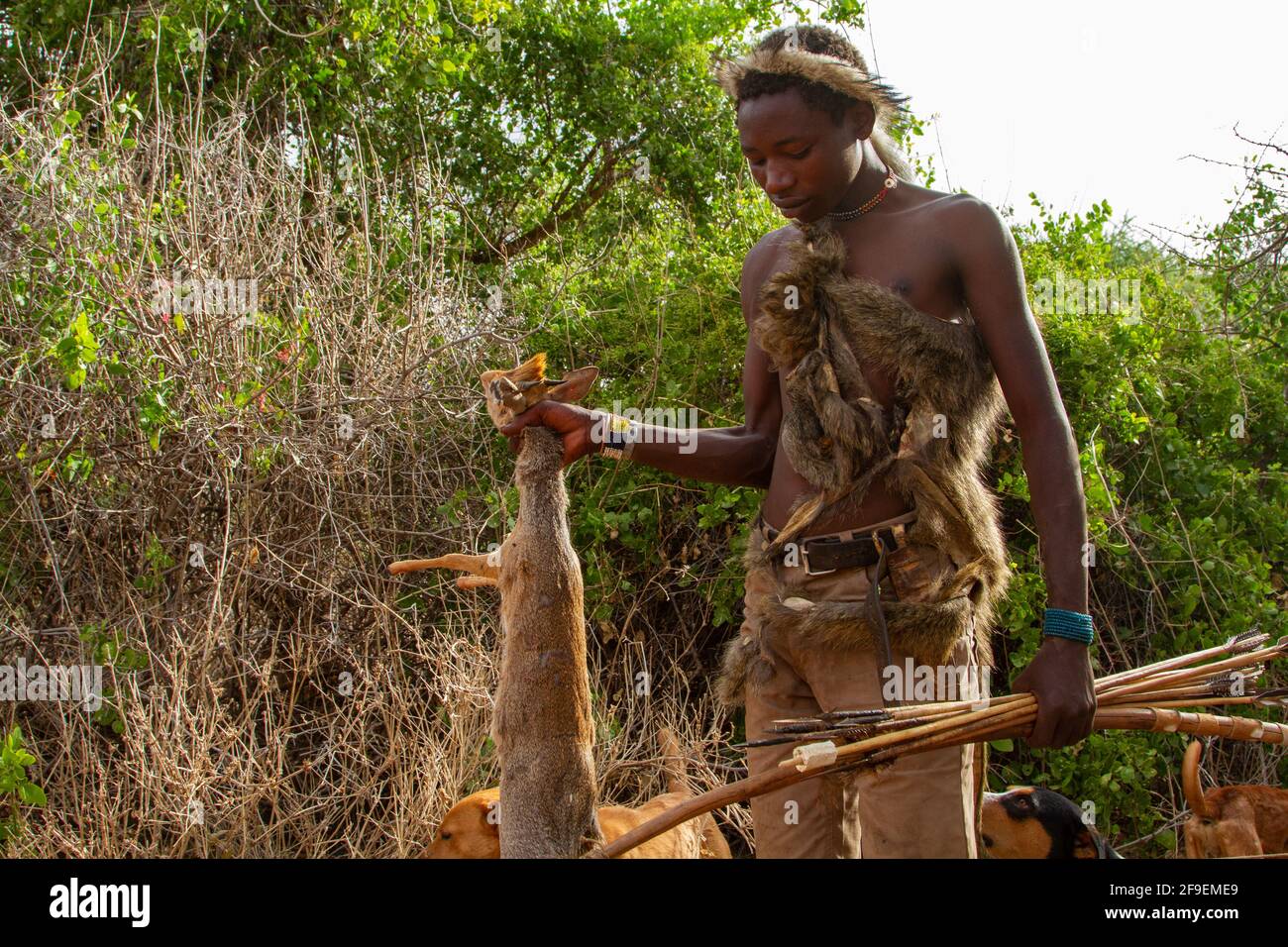 Hadzabe hunters on a hunting expedition. The Hadza, or Hadzabe, are an ...