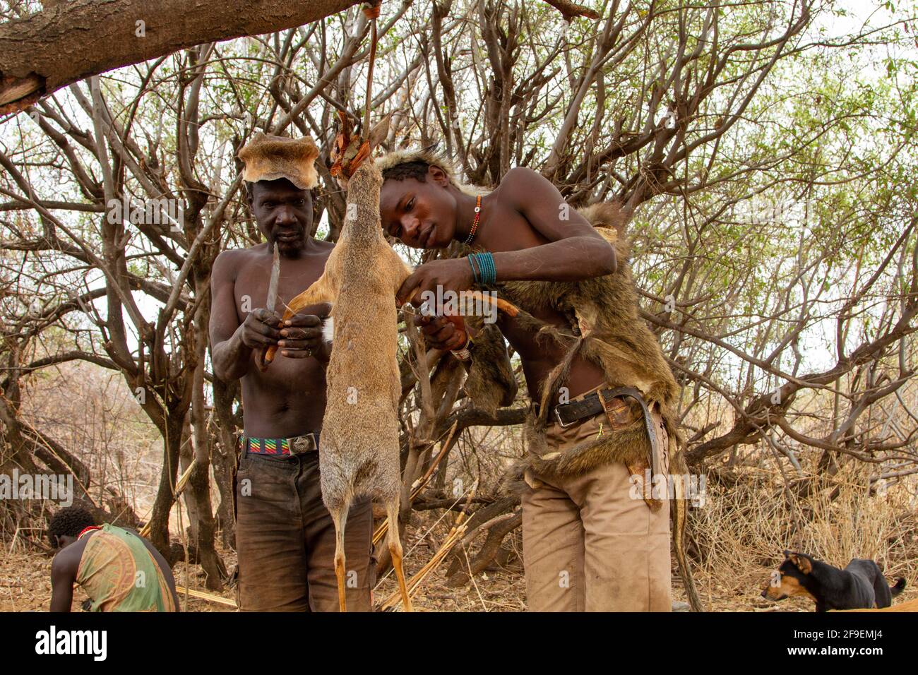 Hunter gatherer bow hadzabe tribe hi-res stock photography and images ...